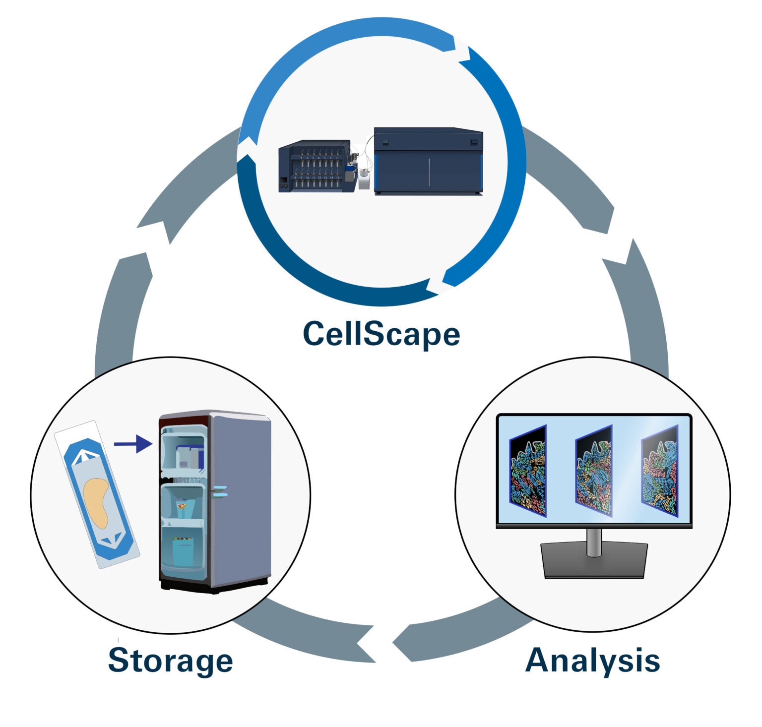 Data-driven Assay Expansion: Re-examine Multiplex Immunofluorescence ...