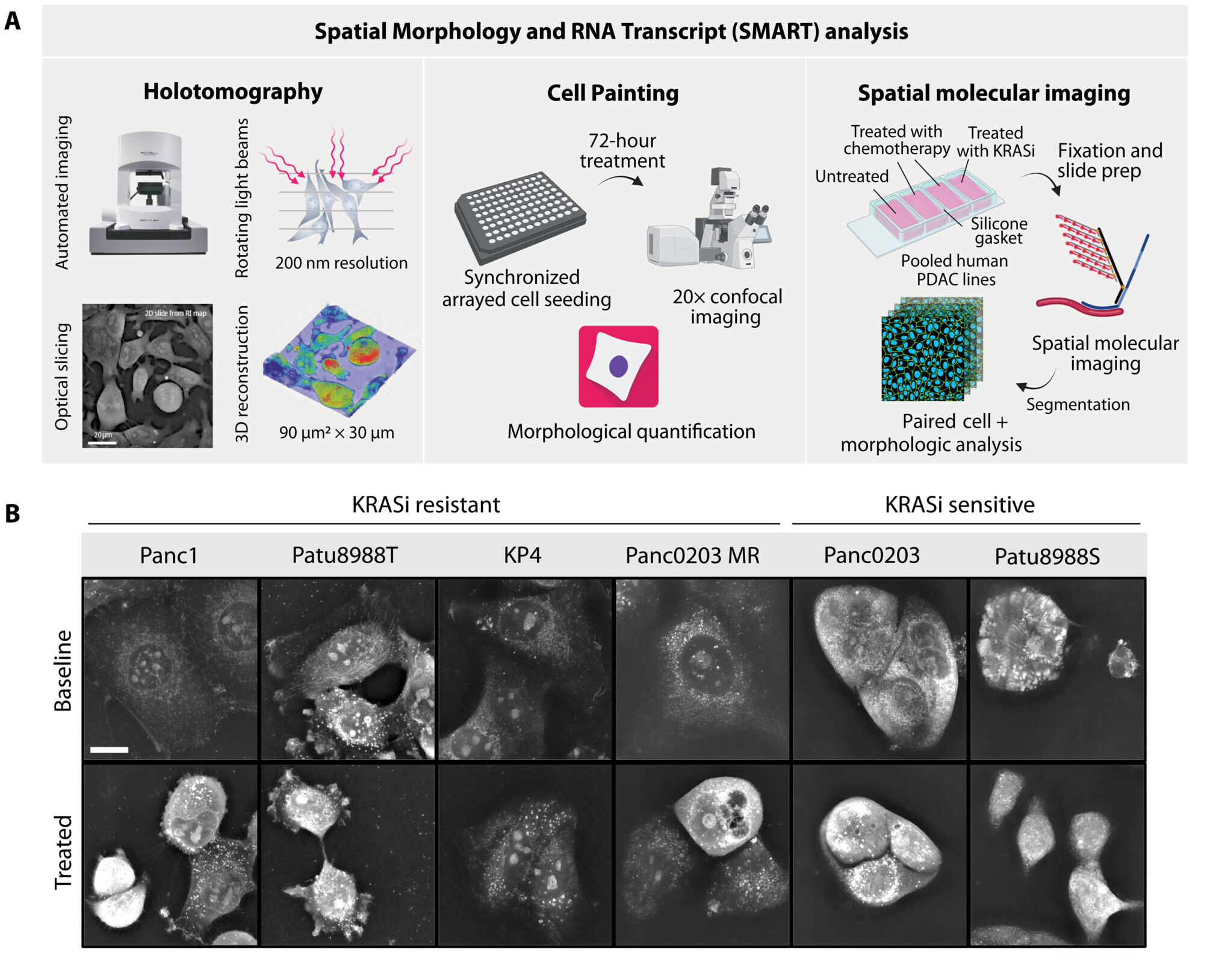 How CosMx SMI Enables Next-Generation Spatially Resolved Cell Assays ...