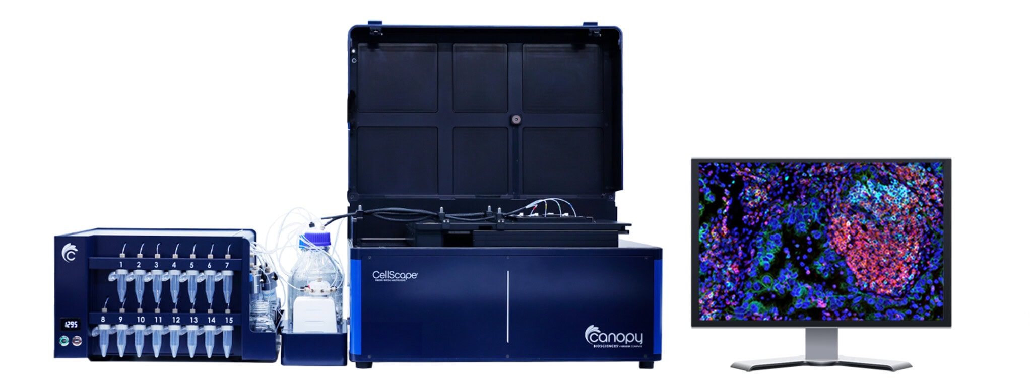 Cellscape Precise Spatial Proteomics Bruker Spatial Biology