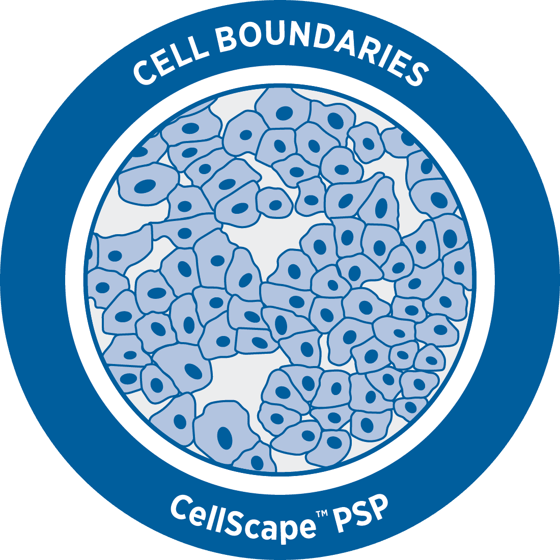 VistaPlex Cell Boundaries Assay Kit | Bruker Spatial Biology