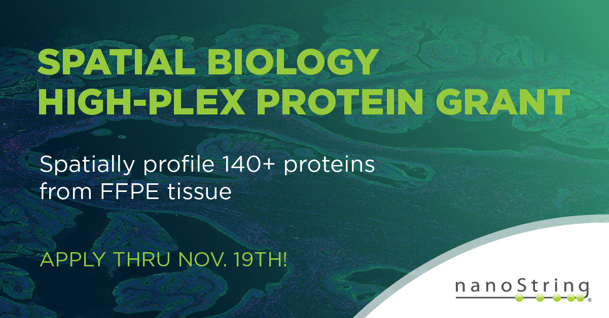 High Plex Spatial Proteomics Grant | Bruker Spatial Biology